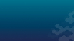 SFDR DISCLOSURES - RTS | LFIS